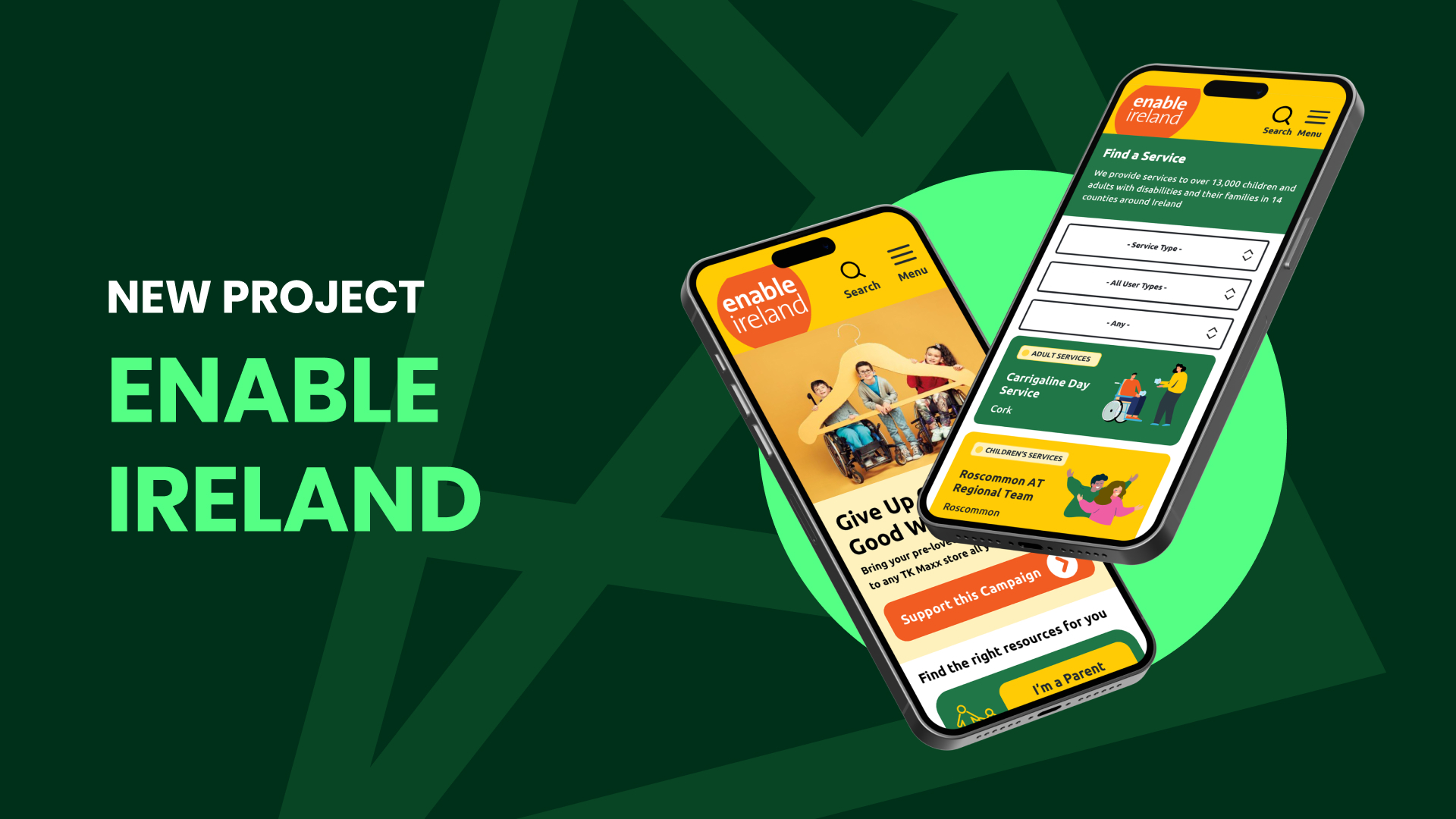 ENABLE IRELAND | Monsoon Consulting